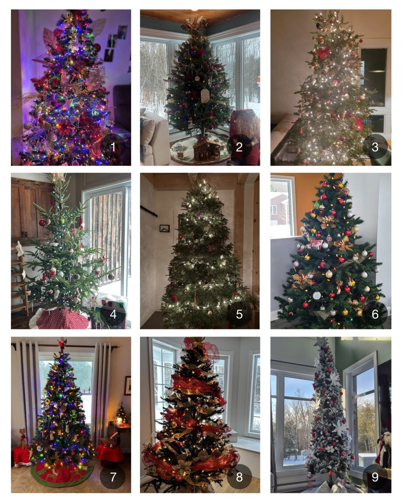 North Hatley Christmas Tree Contest - Vote for the People's Choice ...